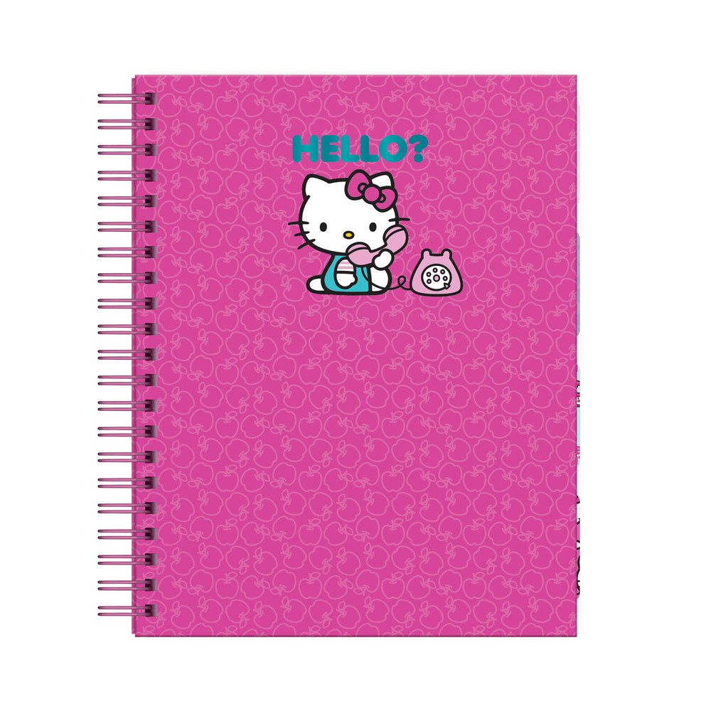 DGNOTTAS - CUADERNO A4 HELLO KITTY - 5 CURSOS (MODELO ALEATORIO ...